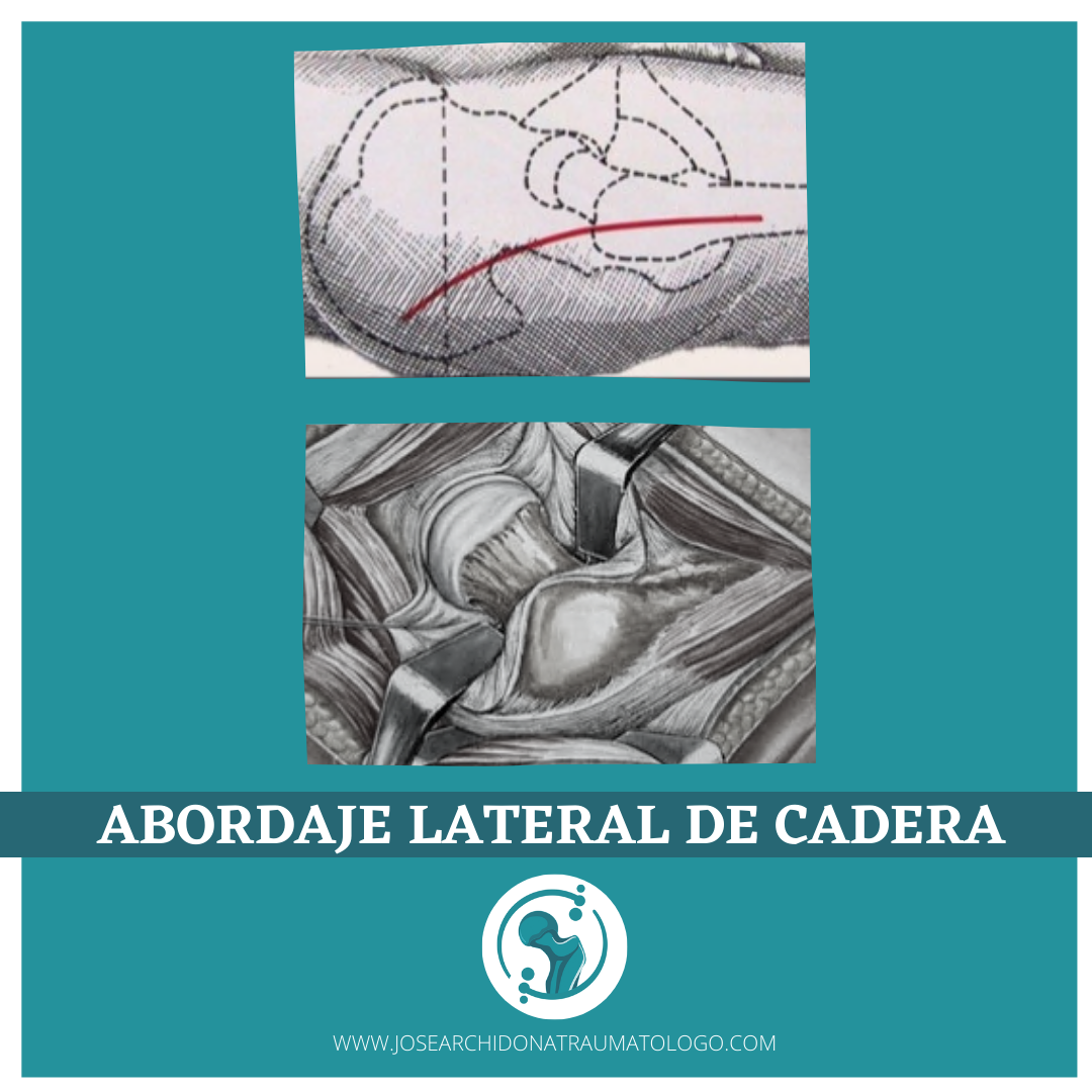 Noticias | Dr. Jose S. Archidona